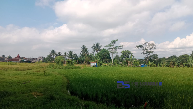 Rencana Pembangunan Gudang Wings Food di Cicurug Menggunakan Lahan ...